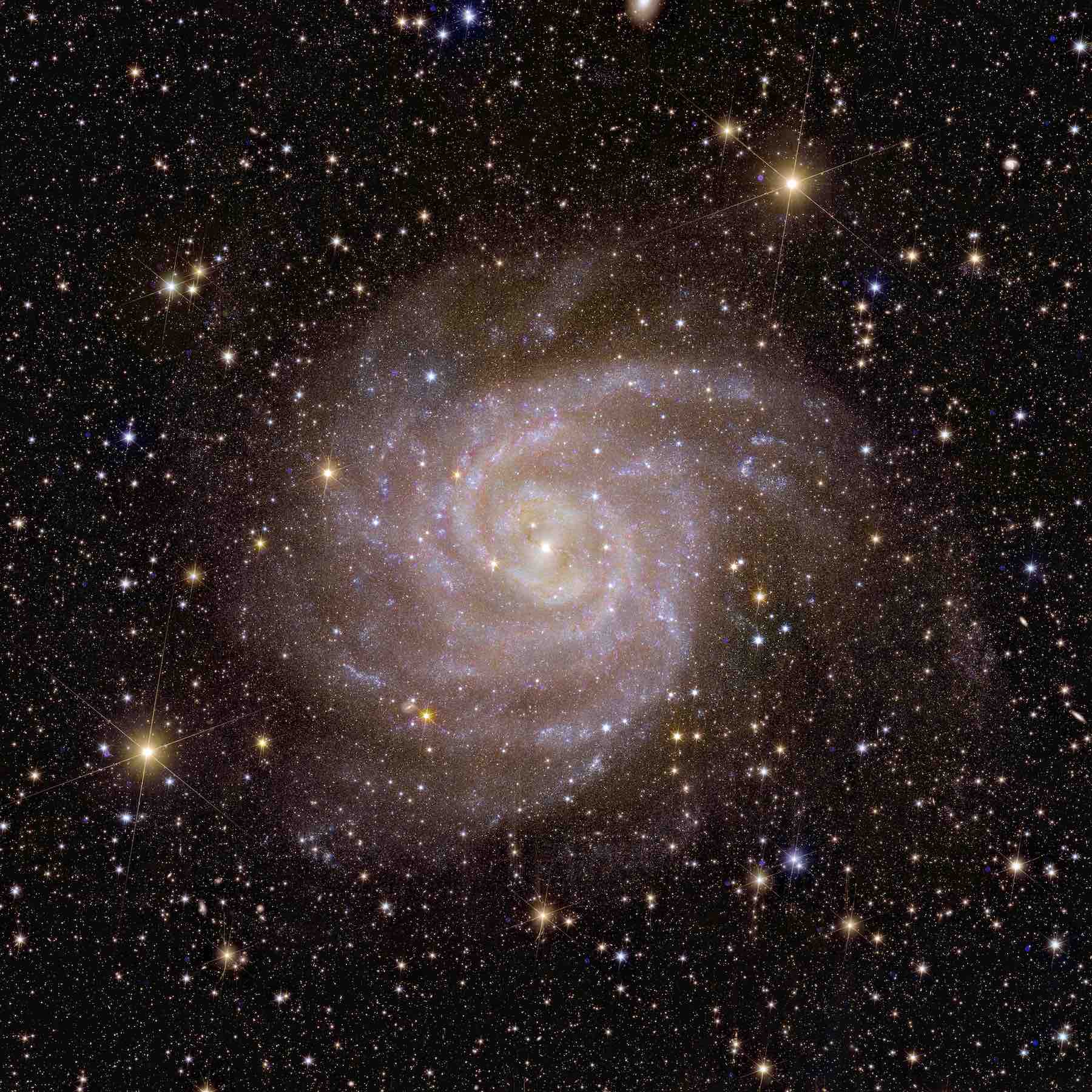 Euclid Telescope’s First Images Unveiled Euclid Telescope’s First Images Unveiled