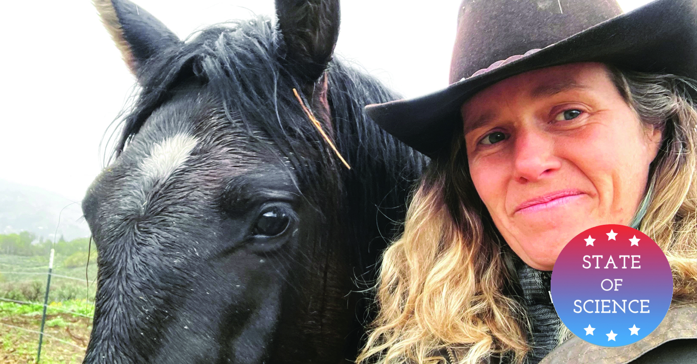 The Captivating Story Of The West’s Wild Horses