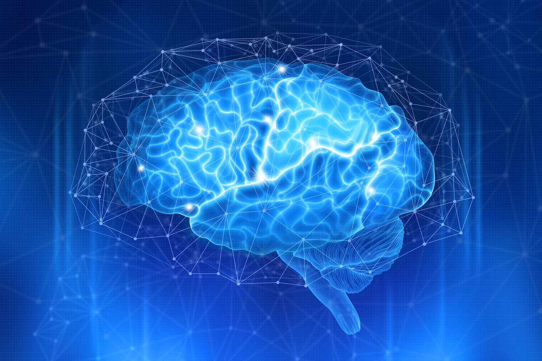 3,000 Types Of Brain Cells Categorized In Massive Brain Cell Atlas