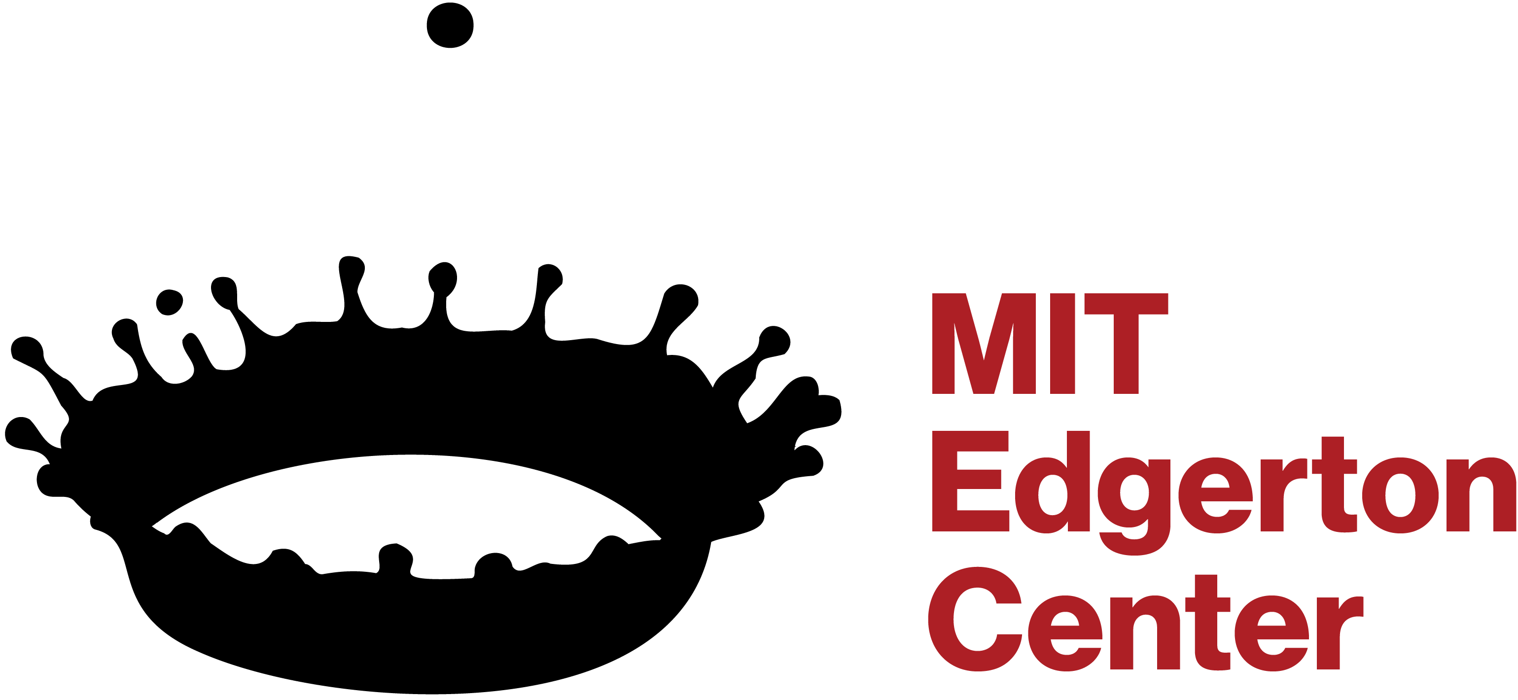 Model Chemical Elements And Molecules With Bricks