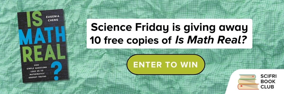 Read 'Is Math Real?' With The SciFri Book Club