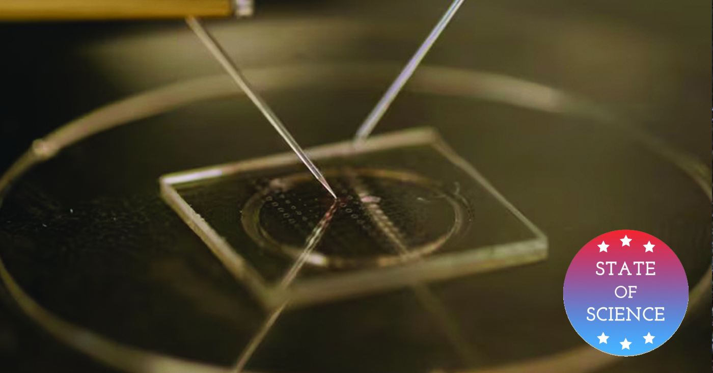 In This Computer Component, Data Slides Through Honey