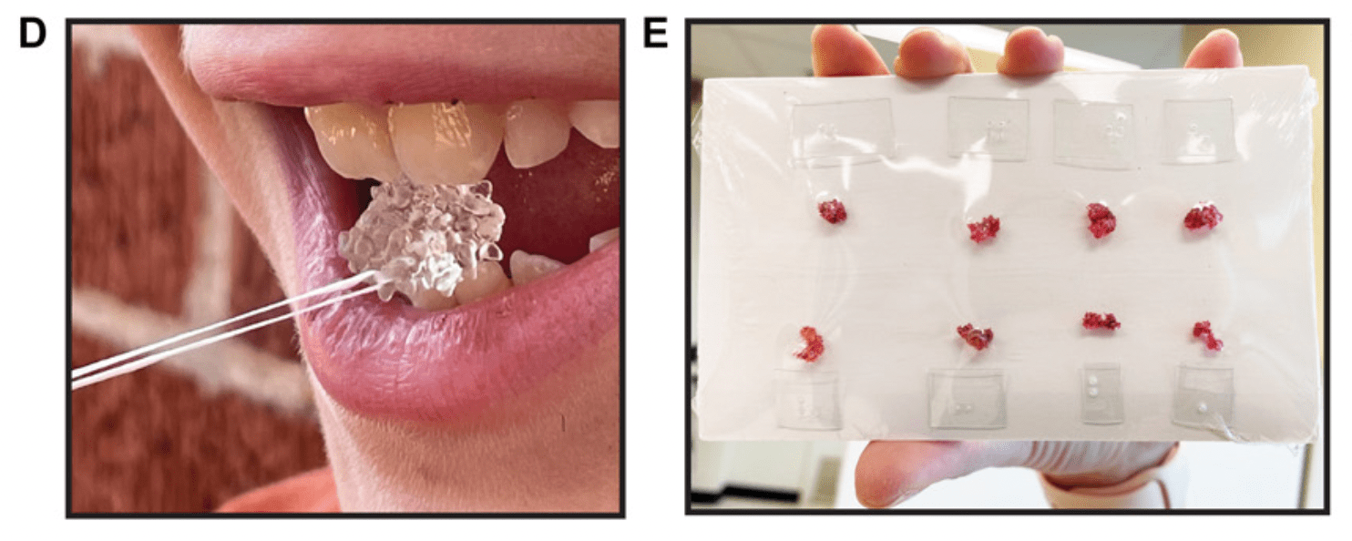 Making Chemistry More Accessible To Blind And Low-Vision People