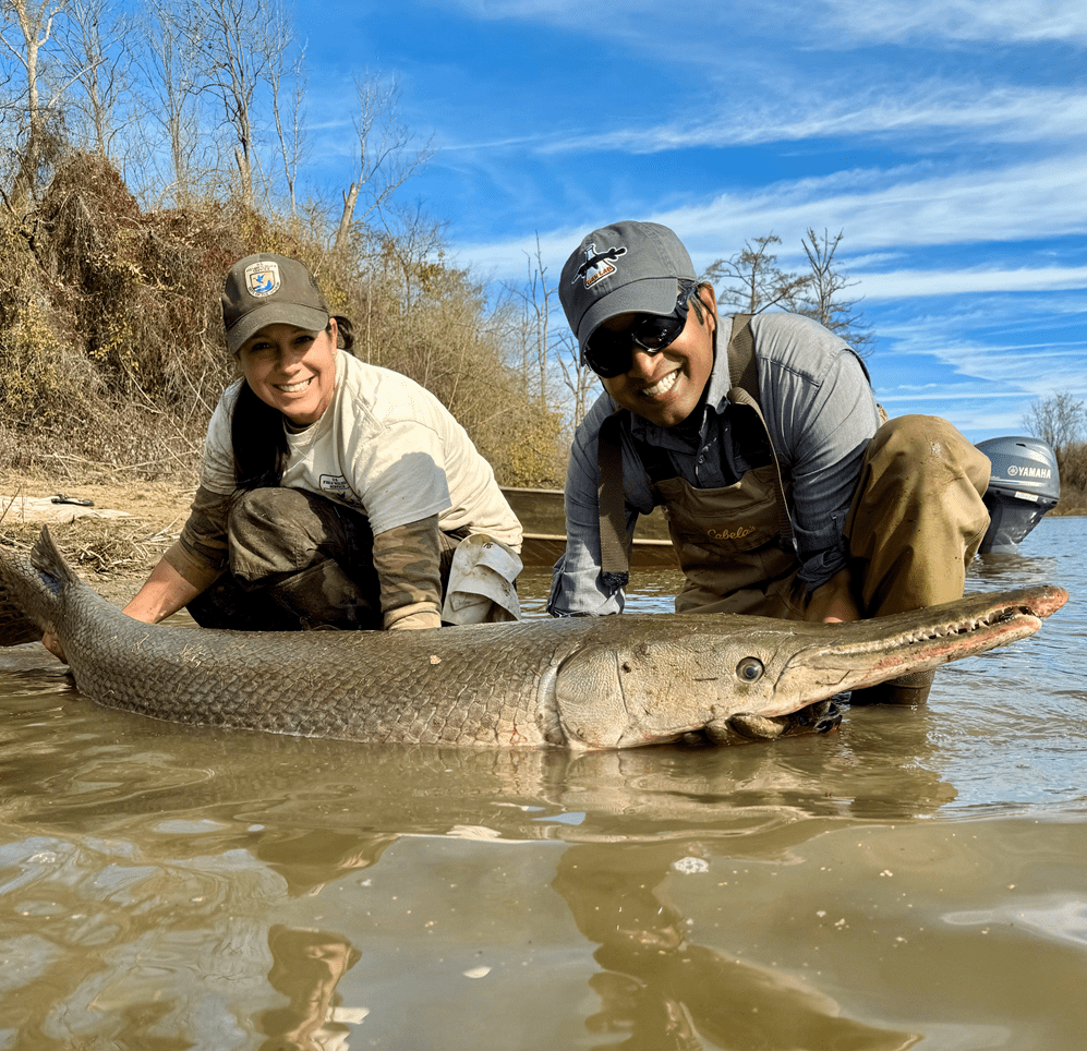 A Strange-Looking Fish, Frozen In Time