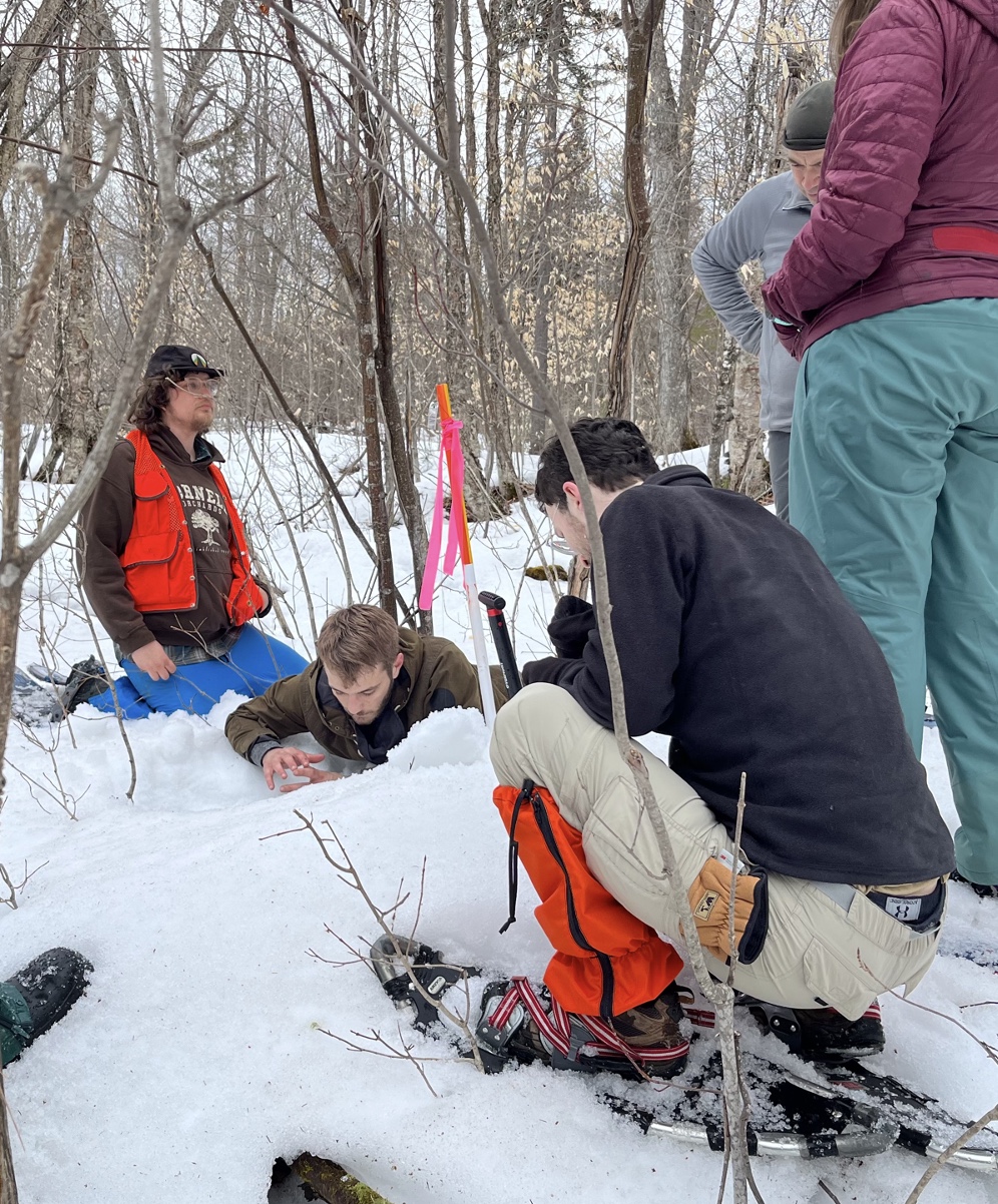 Where Snowpack Meets Soil: An Important Winter Home For Bugs