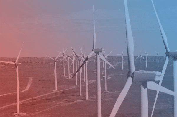 Painting Wind Turbine Blades To Prevent Bird Collisions