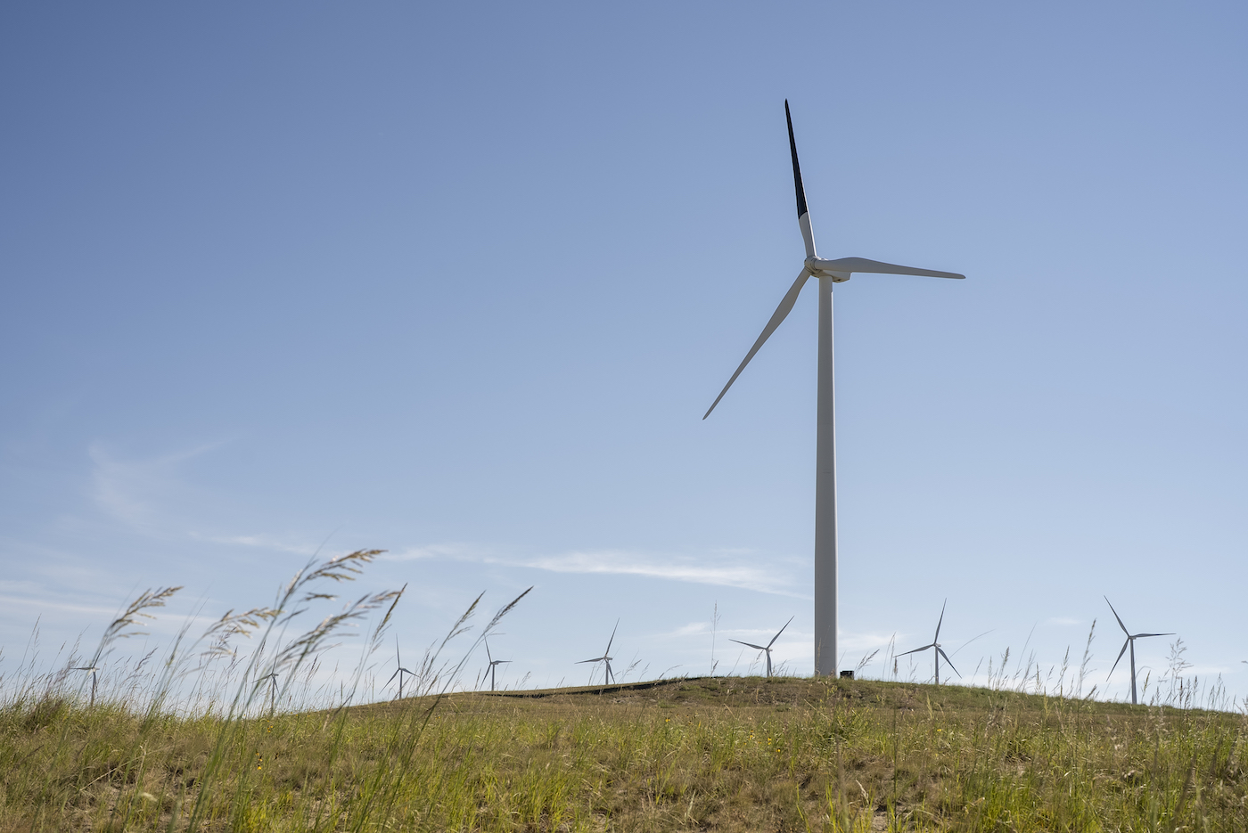 Painting Wind Turbine Blades To Prevent Bird Collisions
