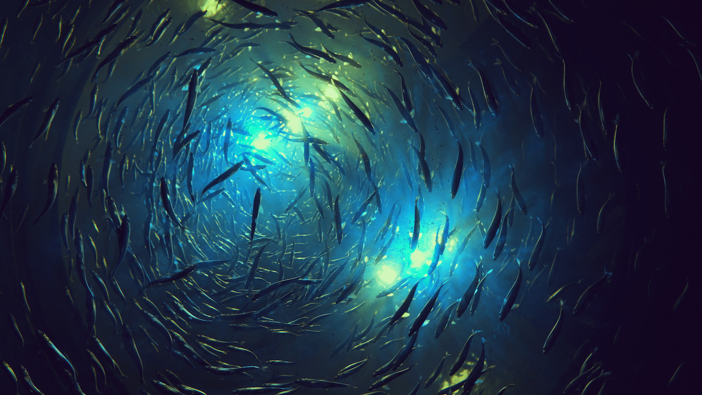 How Sound Rules Life Underwater