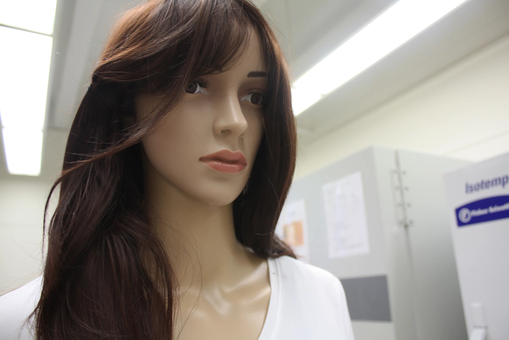 In Wisconsin, Mannequins Help Teach People How To Spot Ticks
