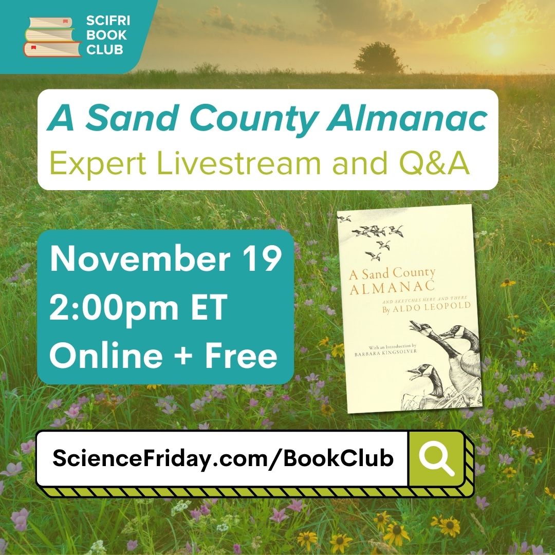 Read 'A Sand County Almanac' With The SciFri Book Club