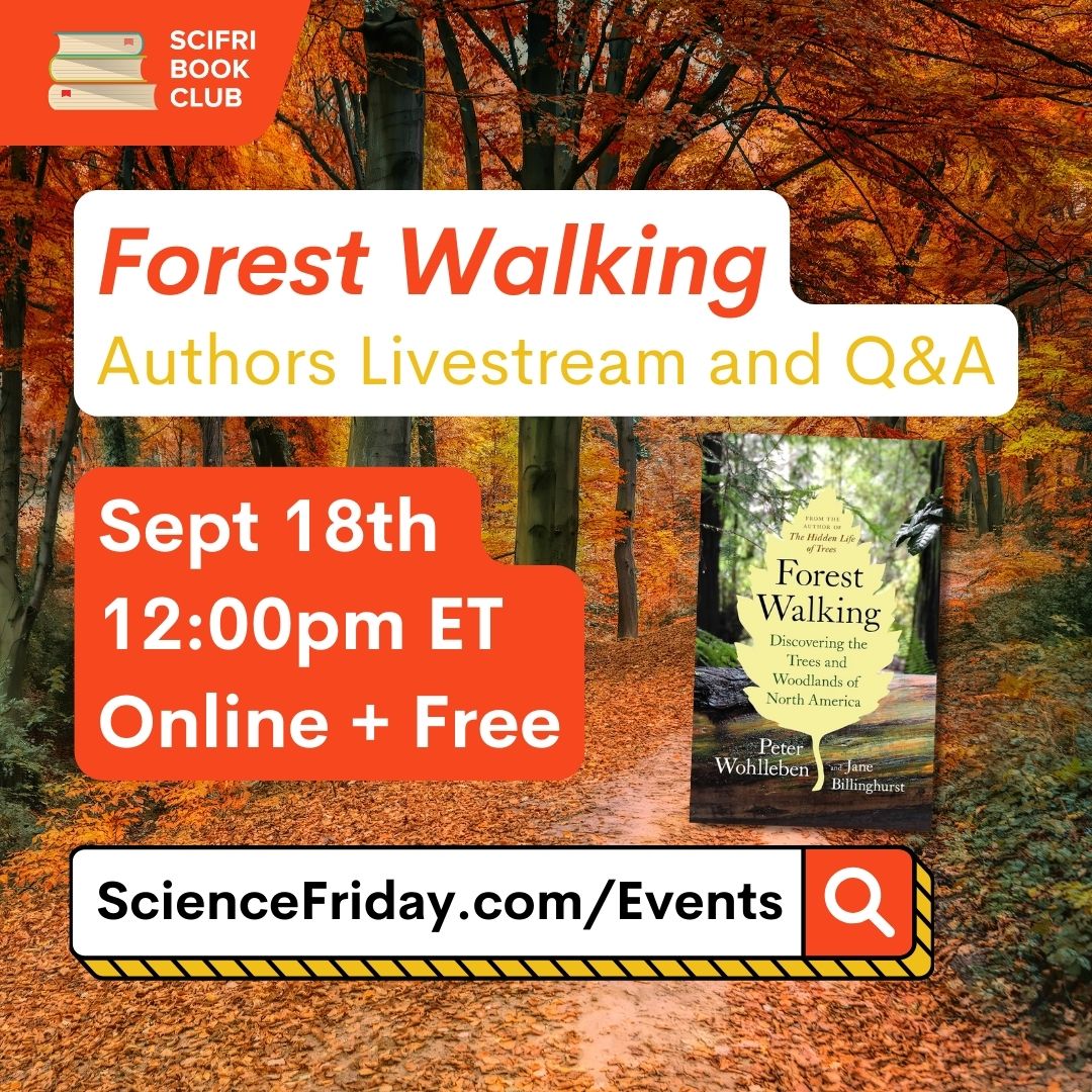 Read 'Forest Walking' With The SciFri Book Club