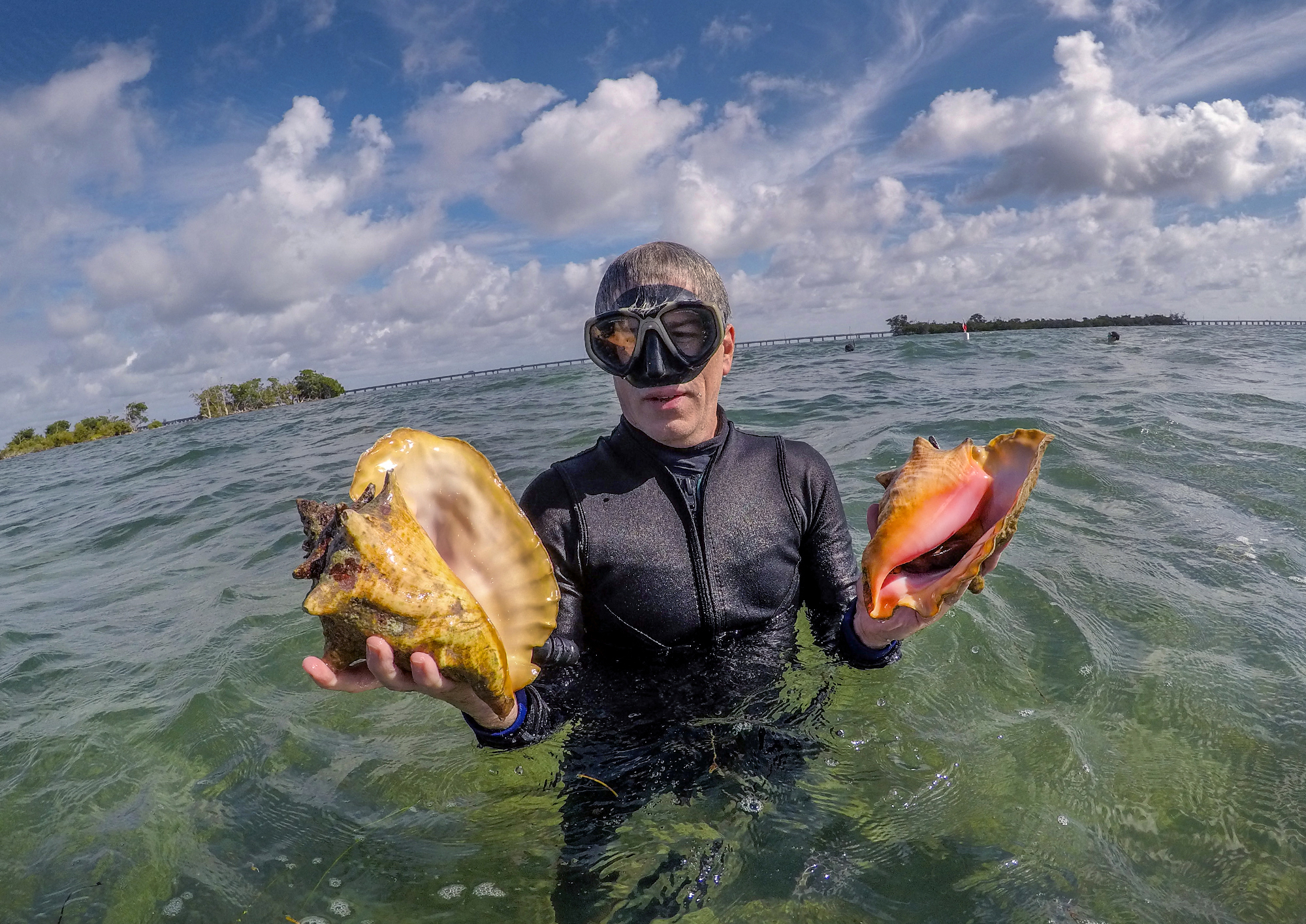 Helping Queen Conchs Mate In The Florida Keys