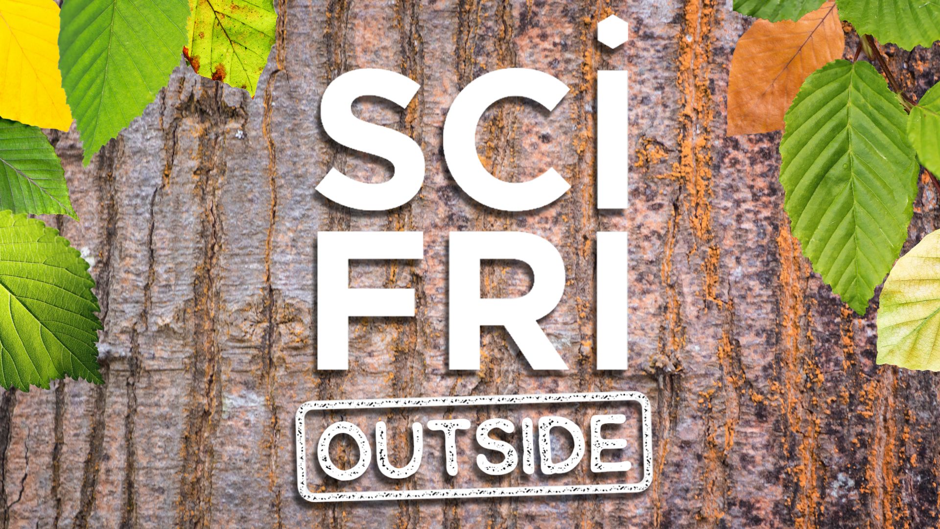 Join Science Friday to Explore the Outdoors in Ohio and New York