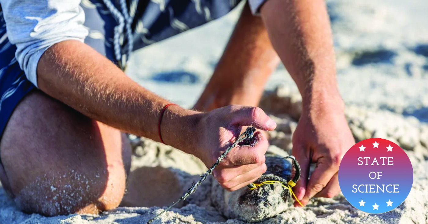 Fishing For—And Saving—Sharks off the Jersey Shore