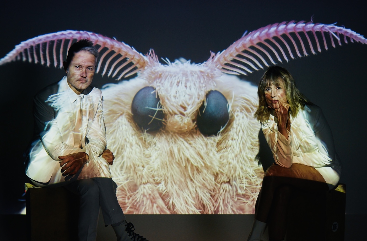 Intertwining The Lives Of Moths And Humans Through Music