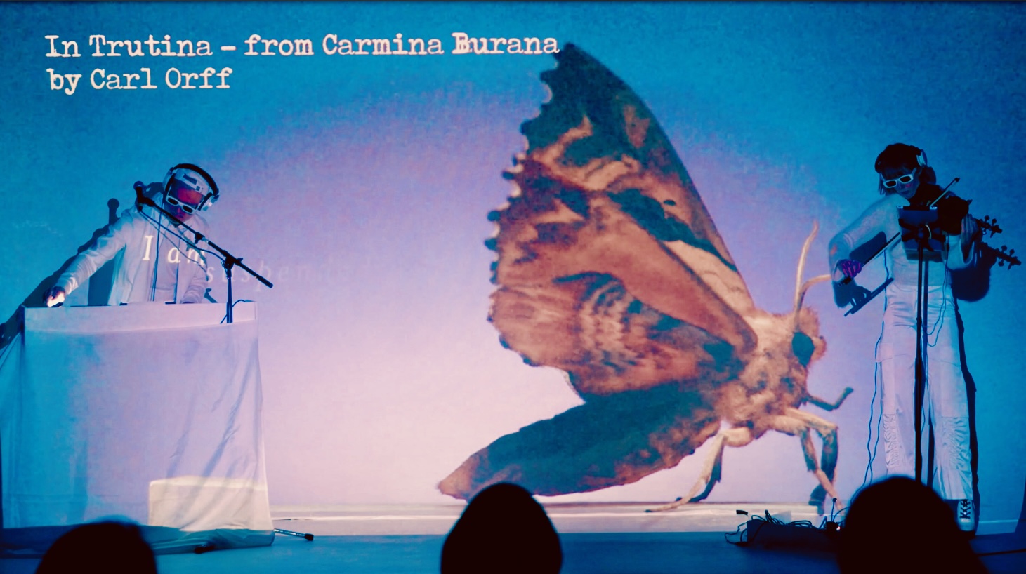 Intertwining The Lives Of Moths And Humans Through Music