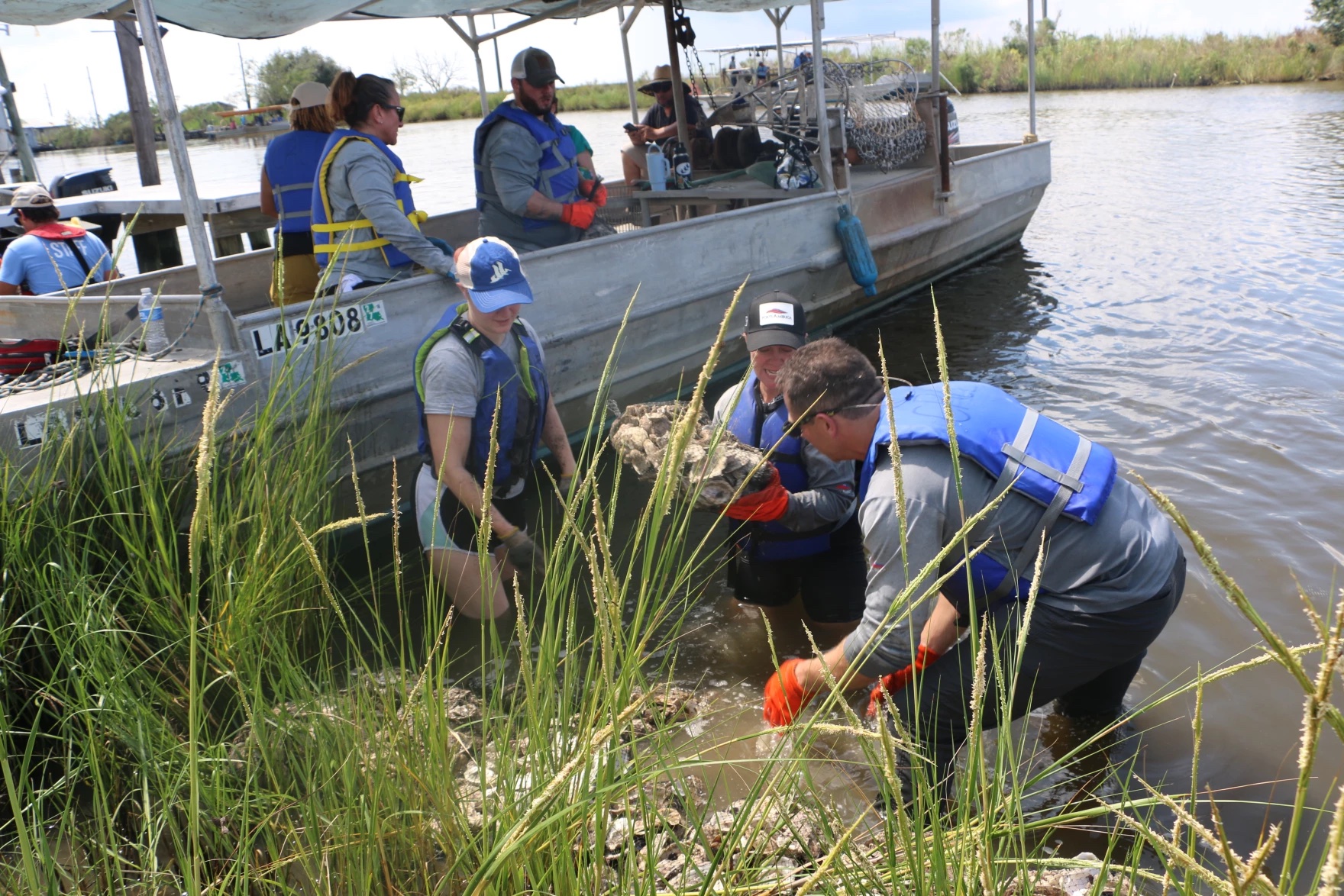 Using Oyster Shell Reefs To Counter Sea Level Rise In Louisiana