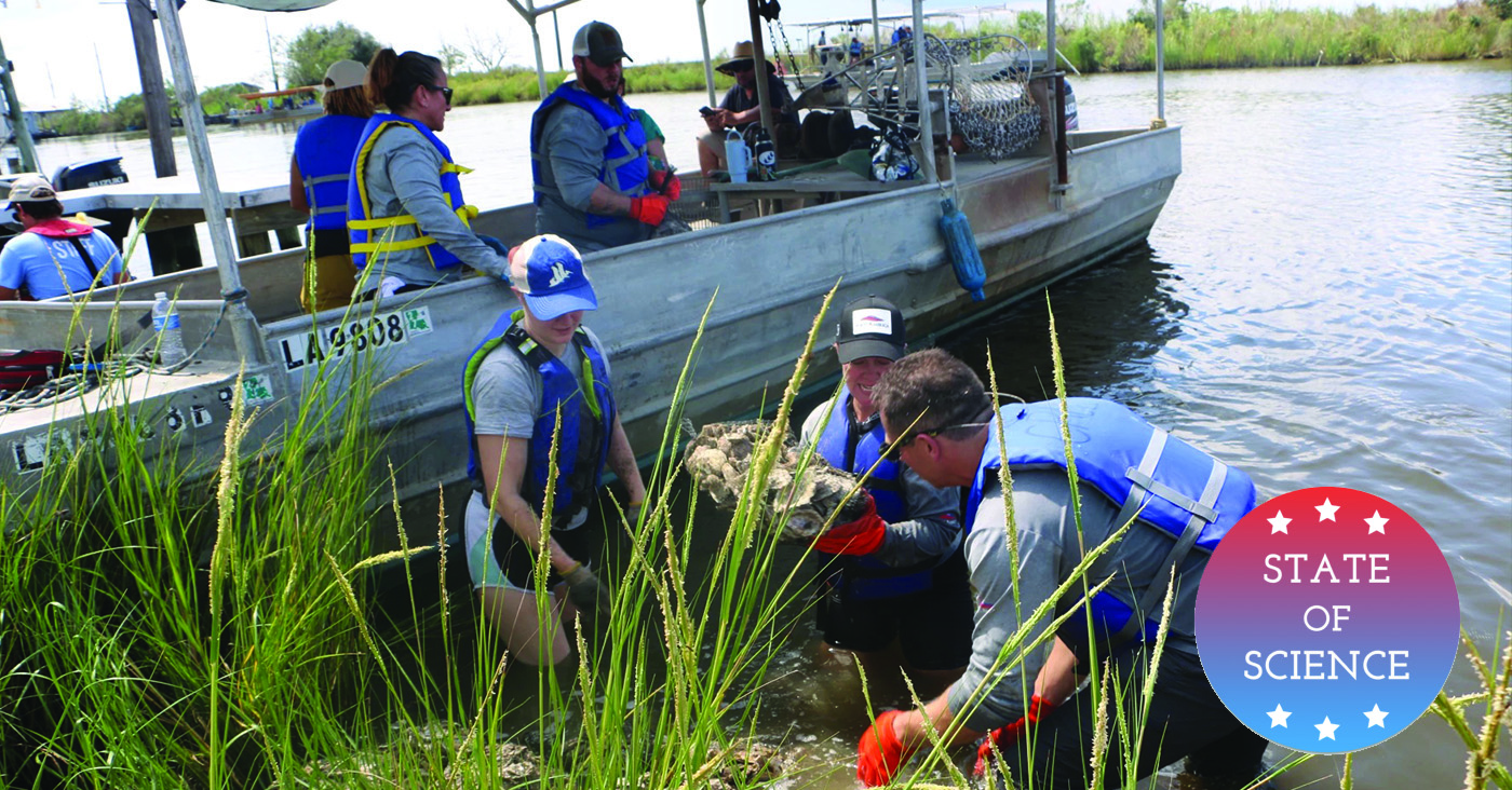 Using Oyster Shell Reefs To Counter Sea Level Rise In Louisiana