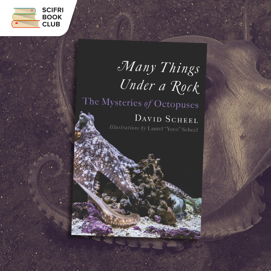 Read 'Many Things Under A Rock' With The SciFri Book Club!