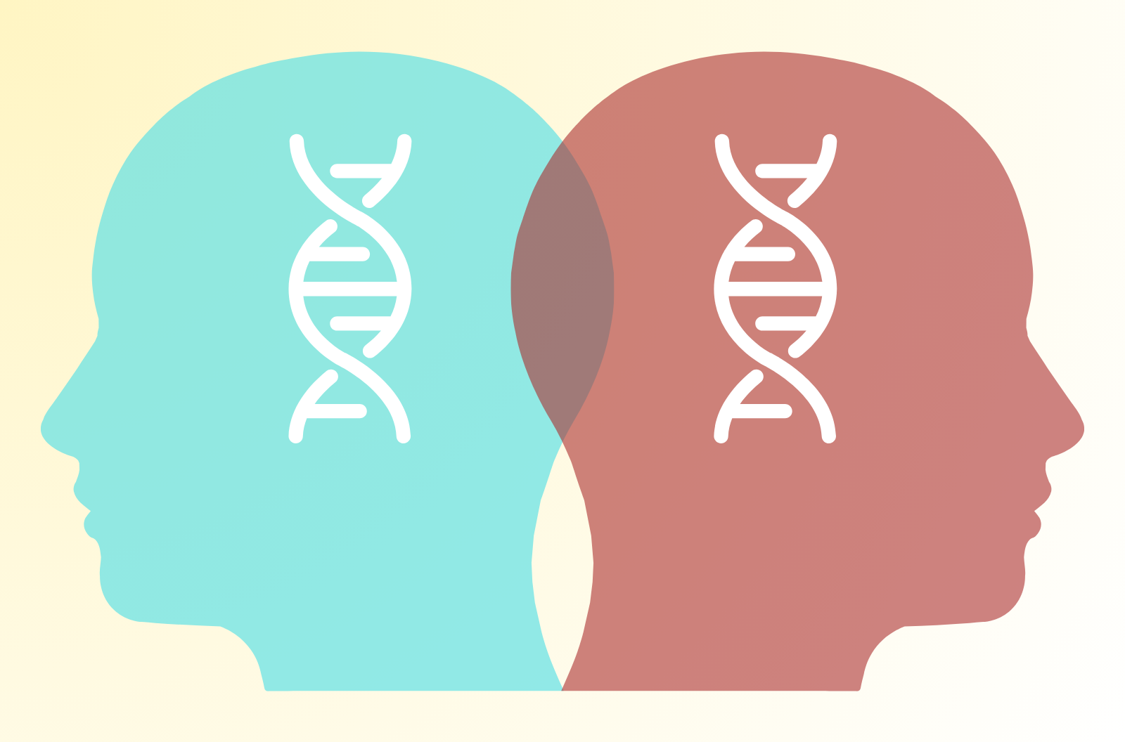 Understanding Bipolar Disorder Through The Genome