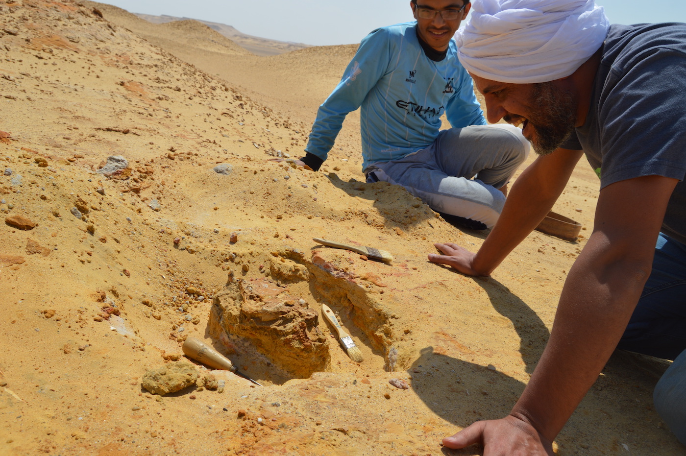 Meet Bastetodon, A 30 Million-Year-Old Apex Predator