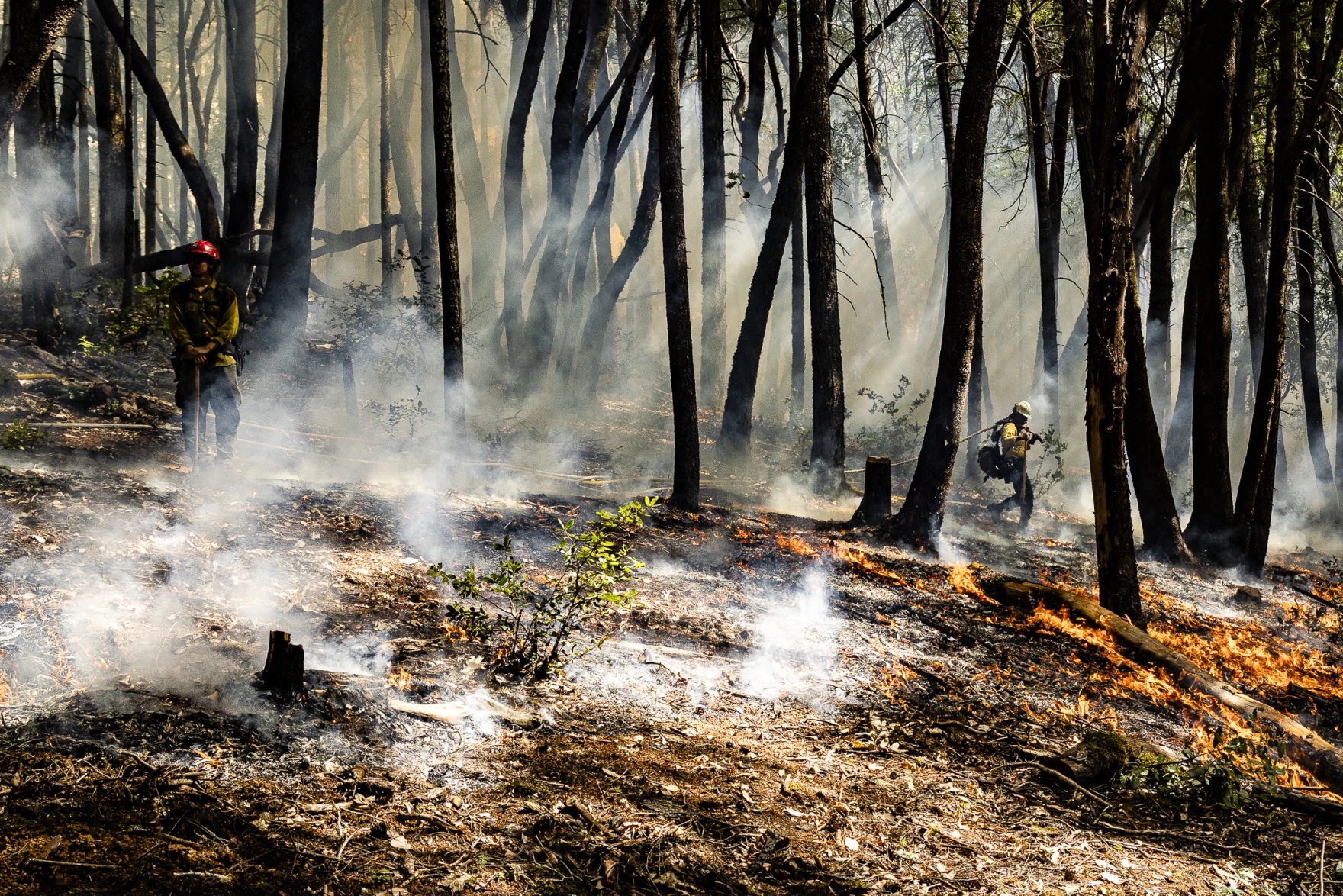 Managing Wildfires Using A Centuries-Old Indigenous Practice