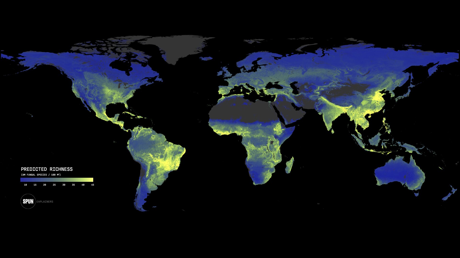 ‘Underground Atlas’ Shows How Vulnerable Fungal Networks Are