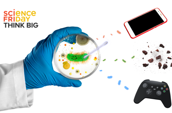 Good dirt or bad germs? Let’s swab it and see! - Science Friday