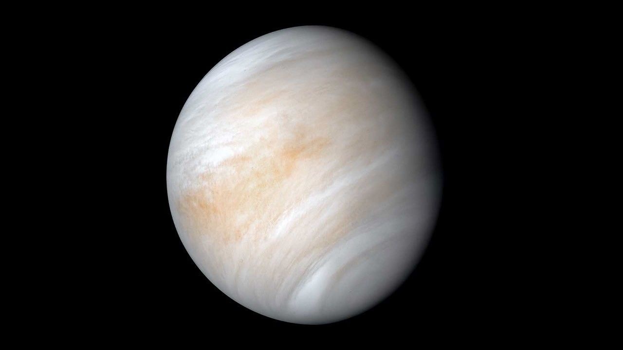 Looking for life in the clouds of Venus